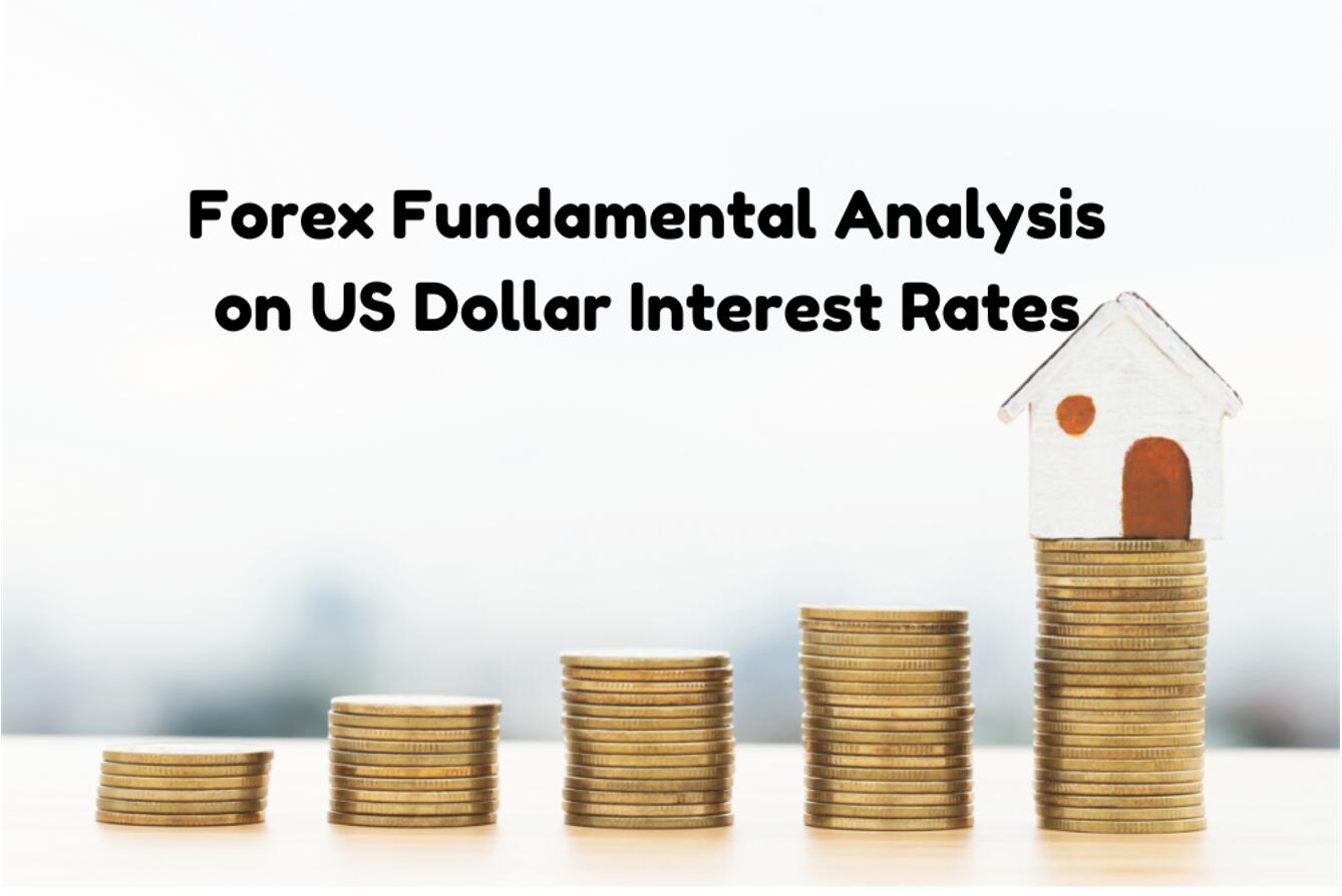Forex Trading Fundamental Analysis on US Dollar Interest Rates ...